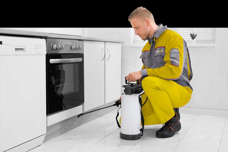 Termite Inspection in Elliston Virginia | Turner and Sheek Pest Control